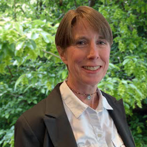 Patricia Feeley VP, Site Mitigation - AEI Consultants